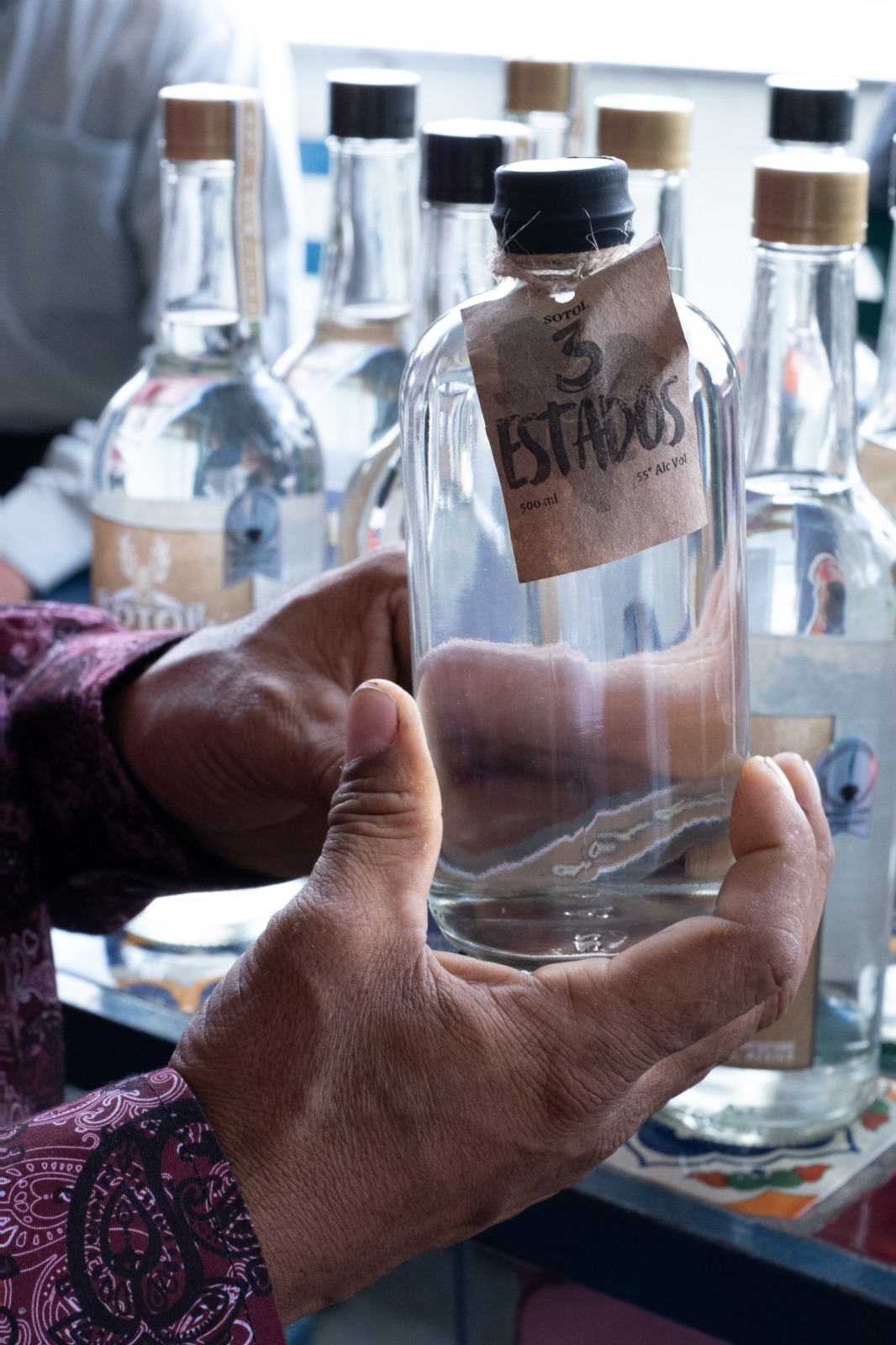 El Primer Encuentro Nacional de Productores de Sotol 2024: Un Hito ...